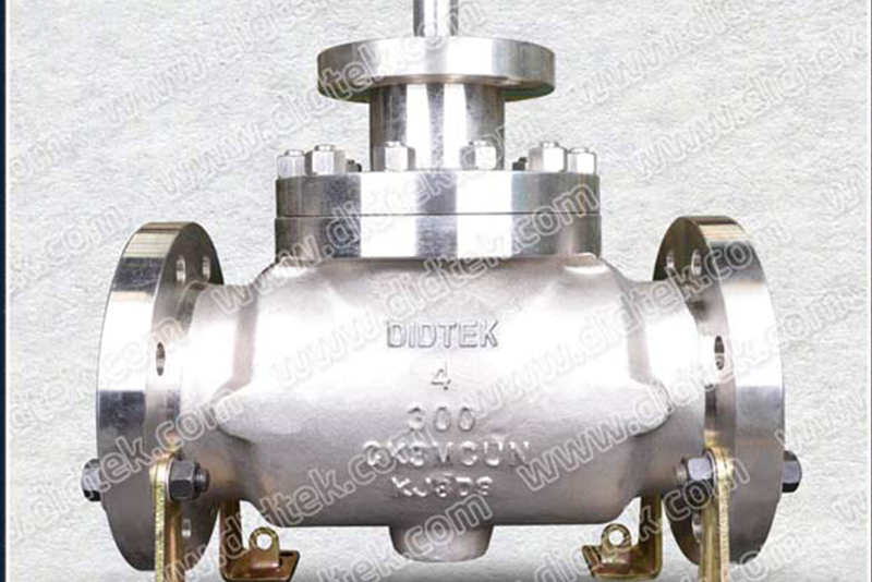 What is a Top Entry Ball Valve? - Didtek Valve (TRBV Workshop)